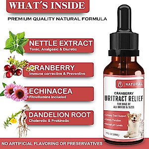 Dog UTI Treatment | Pet Renal Health & UTI Care Drops | Cranberry Supplement for Dogs | Cat Urinary Tract Infection Treatment | Bladder Control for Dogs