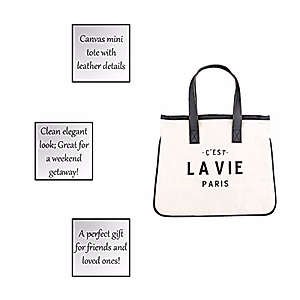 Santa Barbara Design Studio Tote Bag Hold Everything Collection Black and White 100% Cotton Canvas with Genuine Leather Handles, Mini, Paris