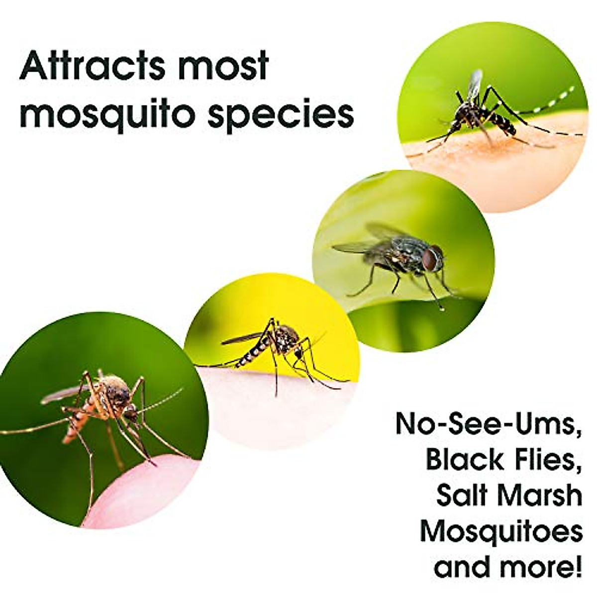 Mosquito Magnet OctenolSR Twin 3-pack Mosquito Trap Attractant - 6 Total Attactants