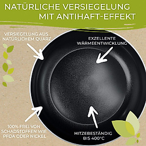 Berndes 24 cm, b.Green Aluminium Induction Frying pan Made from 100% Recycled Beverage cans, 24cm, Black