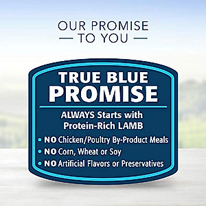 Blue Buffalo Homestyle Recipe Natural Adult Small Breed Wet Dog Food, Lamb 5.5-oz can (Pack of 24)