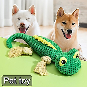 leasote Indestructible Dog Toy Smart Dog Toy Pet Toy Knitted Cartoon Lizard Shape Bite-Resistant Stress Relief Squeaky Dog Cat Chew Toy Green