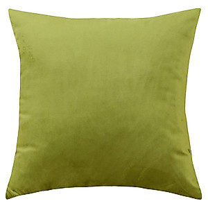 TangDepot Set of 2 Velvet Throw Pillow Covers, Super Soft, Euro Pillowcases - (24x24 Inch 2 Pieces, G01 Olive Green)