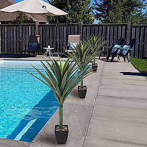 Worth Garden Artificial Yucca Tree 3ft,Tropical Yucana Plant,Realistic Tropical Dracaena Artificial Tree Faux Silk Plant Fake Potted Plant,Indoor Outdoor Décor,Black Pot & 20g Dry Greenmoss Included