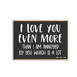 Honey Dew Gifts, Every Once in a While Someone Amazing Comes Into Your Life You're Welcome, 3.5 Inches by 2.5 Inches, Locker Decorations, Refrigerator Magnets, Decorative Magnets, Funny Magnets
