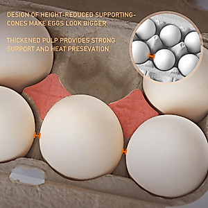 HavRixor 24 Pack Blank Egg Cartons Cheap Bulk 12 Count - Holds Up to 1 Dozen Eggs Cardboard Thickness Natural Pulp Empty Chicken Egg Boxes for Family Farm Market Fridge