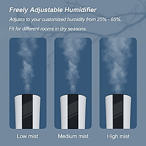 2023 Ultrasonic Humidifiers 6.5L/1.72Gal, MIZUKATA HIKARI Cool Mist Tower Humidifier for Bedroom Large Room Whole House/Room Greenhouse with Remote Control and Essential Oil Tray, Top Fill, Easy Clean