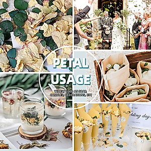 Oning 2 QT Mix Dried Bio Flower Rose Petals Confetti, 20+ Cups of Ivory White Roses & Eucalyptus Leaves, Real Petals for Wedding Parties Romantic Gifts, Flower Girl Bridal