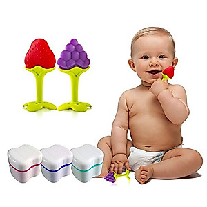 Kdgtebo Gus Craft Handy Denture Box Storage for Dental Care, Easy to Open, Store and Retrieve. (Golden Lily)