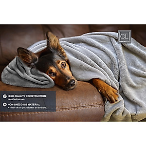 Comfort Lab Plush Flannel Throw Blanket - Soft, Lightweight, Giftable Fleece Blanket for Couch, Bed & Home Decor - Anti Pilling and Non Shedding Fleece Couch Throw - Kids/Pet (40" x 50") - Grey