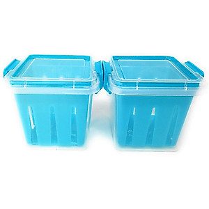 Fruit and Veggie Vegetable Basket Food Storage Container BPA Free 2 Pack TEAL/LIGHT BLUE