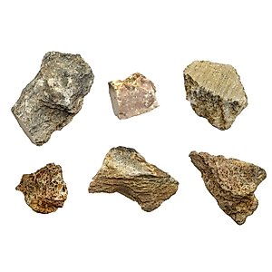 EISCO 6PK Raw Talc, Mineral Specimens - Approx. 1" - Geologist Selected & Hand Processed - Great for Science Classrooms - Class Pack