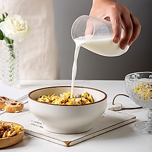 LERATIO Ceramic Bowls Set of 6,26 Ounce Bowls for Kitchen, Cereal, Salad, Pasta, Soup, Dessert etc, Oven & Dishwasher & Microwave Safe,Scratch Resistant,Matte White with Rim