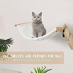 KOOPRO Cat Wall Shelves Furniture Bed, Cat Perch Wooden Cat Steps Climbing Bridge Wall Mounted Solid Wood Cat Tree for Indoor Large Cats Kittens for Sleeping, Playing, Climbing, Lounging