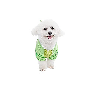 Spooktacular Creations Dinosaur Hoodie Pet Costume for Cat and Dog Halloween Dress Up Party and Pet Cosplay (Medium)