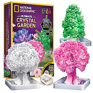 NATIONAL GEOGRAPHIC Craft Kits for Kids - Crystal Growing Kit - Grow a Crystal Garden in Just 6 Hours, Educational Craft Art Project, STEM Crafts for Girls Ages 8 9 10 11 & 12 (Amazon Exclusive)