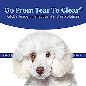 Angels’ Eyes PLUS Tear Stain Prevention Beef Powder for Dogs and cats | For All Breeds | No Wheat No Corn | Daily Support for Eye Health | Proprietary Formula