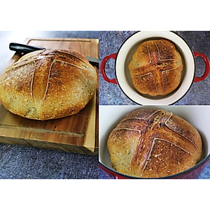 Dutch Oven Enameled Cast Iron Pot - Cocotte with Dual Handle and Cover Casserole Dish - Round Red 10.23" (26 cm)