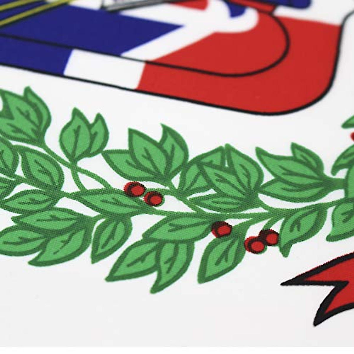 ANJOR Dominican Republic Flag 3x5Fts - Dominican Flags With Brass Grommets 3 X 5 Ft