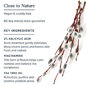 Heritage Store Blemish Toner Acne Treatment 2% Salicylic Acid, Tea Tree Oil & Niacinamide Oily Skin Vegan 4oz 60 Day Money Back Guarantee