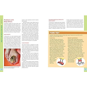 A Kid's Guide to Keeping Chickens: Best Breeds, Creating a Home, Care and Handling, Outdoor Fun, Crafts and Treats