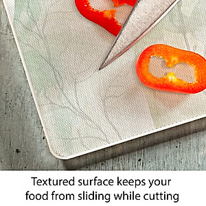 CounterArt "Nature's Greenery" 3mm Heat Tolerant Tempered Glass Cutting Board 15” x 12” Manufactured in the USA Dishwasher Safe