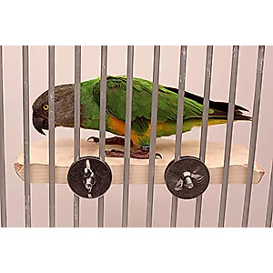 Hardwood Platform NU Perch for Small to Medium Parrots