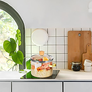 GANAZONO Glass Cooking Pot Glass Stovetop Pot Clear Pot Glass Cookware Glass Saucepan 2300ml