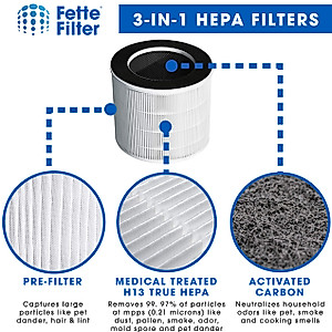 Fette Filter - VK-6067B H13 True HEPA Filters Compatible with HOKEKI VK-6067B & Vremi True Hepa Air Purifiers H13 with Activated Carbon- Pack of 2 (VK6067B)