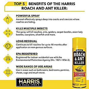 HARRIS 10-Month Roach and Ant Killer, 16oz Aerosol Spray