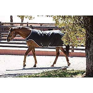 Horseware Amigo Walker Large