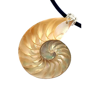 Swimmi Rare Natural Open Nautilus Shell Necklace, Hand Polished Pearly Nautilus Necklace for Women, Adjustable Cord Nautilus Mother of Pearl Necklace, Ursula Necklace Jewelry AA419-CR