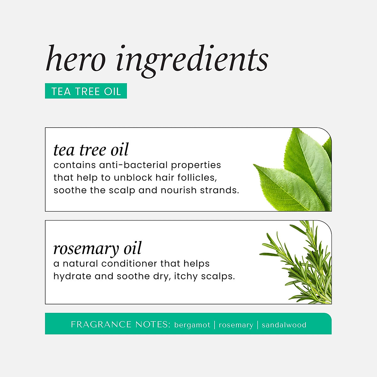 HASK Tea Tree & Rosemary Oil Scalp Care Conditioner - 12 fl oz