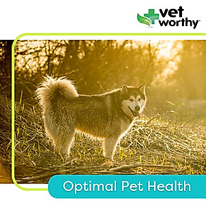 Vet Worthy Adult Multi Vitamins - Multivitamin for Dogs to Support Optimum Health and Overall Wellness - Dog Supplement with Iron, Magnesium, Zinc, Vitamin A, B Vitamins - Liver Flavor, 60 Tablets