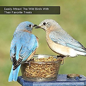 LuckyQworms Bulk Mealworms 11Lbs, High-Protein Dried Mealworms, 100% Non-GMO Mealworm Treats for Birds, Chickens, Turtles, Fish, Hamsters and Hedgehogs All Natural Animal Feed