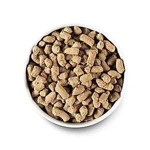 Open Farm Freeze Dried Raw Dog Food, Humanely Raised Meat Recipe with Non-GMO Superfoods and No Artificial Flavors or Preservatives (13.5 Ounce (Pack of 1), Grass Fed Beef Recipe)