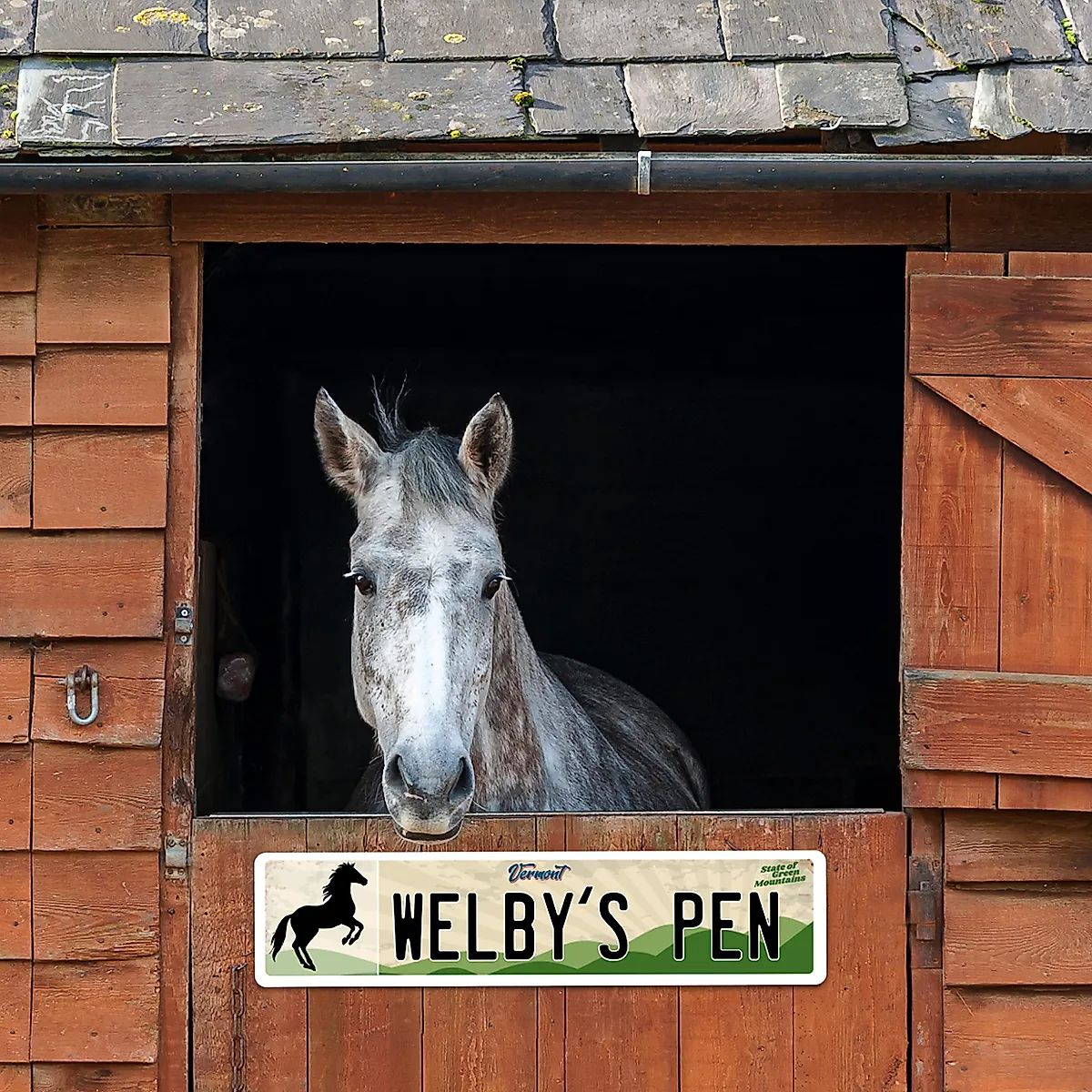 Custom Street Signs with Text & Icon - 30 Icons, 50 States - Personalized Florida Metal Street Sign, 2 Sizes, 13X4" or 18X4" - UV Protected Aluminum Signs with Florida Themed Background