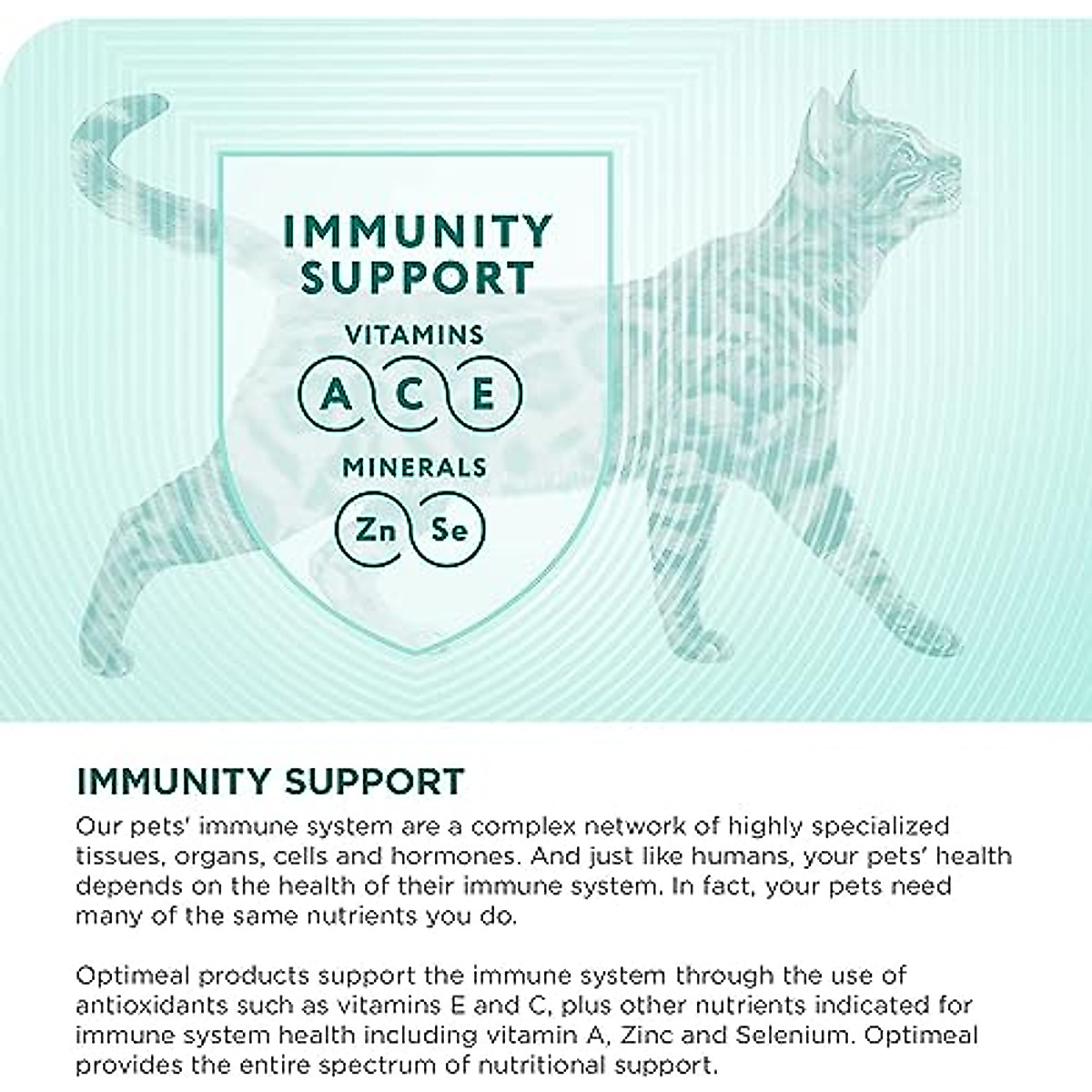 OPtimeal Grain Free Cat Food - Proudly Ukrainian - Healthy Cat Food Dry Recipe for Gut Health, Tasty Dry Cat Food with Immunity Support for Adult Cats (3.3 lbs, Turkey & Veggies)