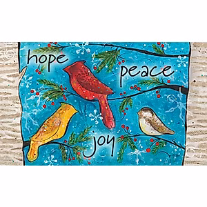 Toland Home Garden 800023 Peace Birds Winter Door Mat 18x30 Inch Hope Joy Outdoor Doormat for Entryway Indoor Entrance