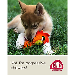 Puppy Toys - Squeaky Dog Toy - Natural Rubber Latex - Sensory Dog Toy - 5" Tall - Medium Breeds & Puppies - Complies with Same Safety Standards as Baby Toys