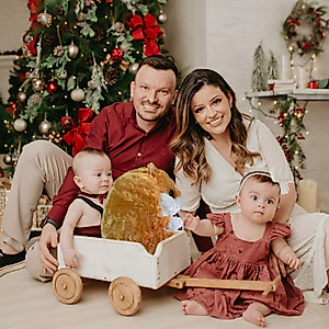 Arkdorz Cute Hamster Plush Toy,15.7inch Hamster Stuffed Animal Plush Pillow,Soft Stuffed Hamster Toy Birthday for Kids Boys Girls (Brown)