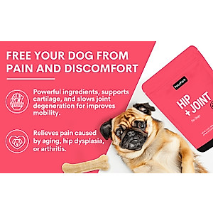 Petz Park Glucosamine for Dogs - Hip & Joint Support Powder with Chondroitin & MSM - Arthritis Pain Relief, Hip Dysplasia Treatment - 800mg Glucosamine - 90 Scoops