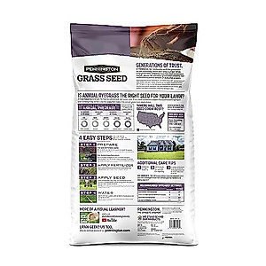 Pennington Annual Ryegrass Retail Bag to Overseed Warm Season Grasses, 25 lb