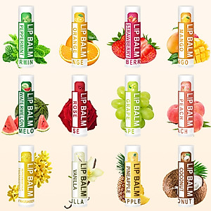 DMSKY 12 Pack Lip Balm, Natural Lip Balm Bulk with Vitamin E and Coconut Oil, Moisturizing Lip Balm for Dry Cracked Lips, Lip Balm for Stocking Stuffers - 12 Flavors