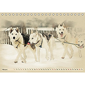 Schlittenhunde 2019 (Tischkalender 2019 DIN A5 quer): Der Kalender ist im kunstvollen Aquarell-Stil gehalten, so dass jedes einzelne Bild einem kleinen Kunstwerk gleicht. (Monatskalender, 14 Seiten )