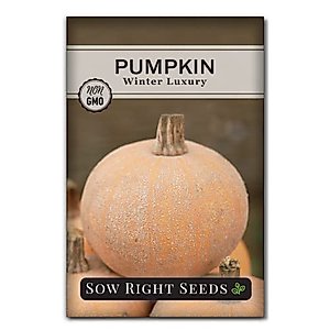 Sow Right Seeds - Winter Luxury Pumpkin Seeds for Planting - Non-GMO Heirloom Packet with Instructions to Plant & Grow an Outdoor Home Vegetable Garden - Vigorous Productive - Wonderful Gardening Gift