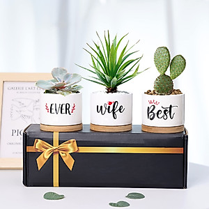 Whonline Birthday Gifts for Wife from Husband Unique, Succulent Pots Planter Gifts for Women Mothers Day Anniversary, Romantic Best Wife Ever Gifts for Any Occasion, Arrive Beautifully Gift Boxed