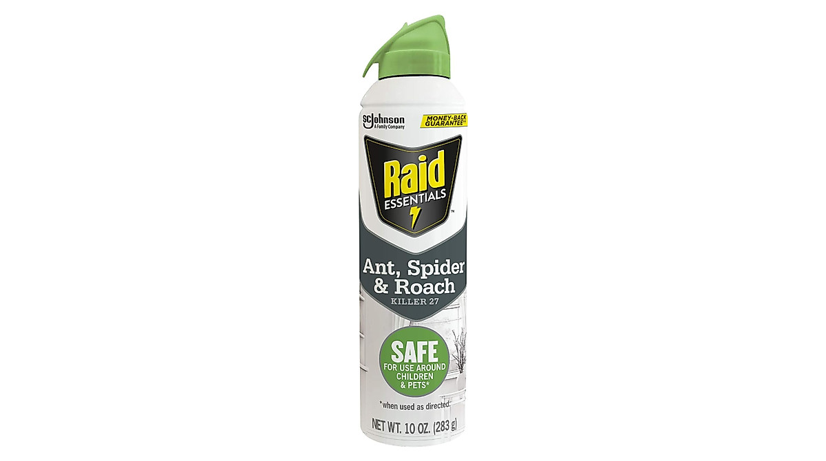 Raid Essentials Ant & Roach Killer Spray - Child & Pet Safe