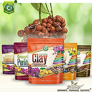 Organic Expanded Clay Pebbles LECA Grow Media for Plants, Orchids, DWC Hydroponics, Aquaponics, Aquaculture Garden Soil Additive Conditioner Amendment Ceramsite Aggregate Cz Garden