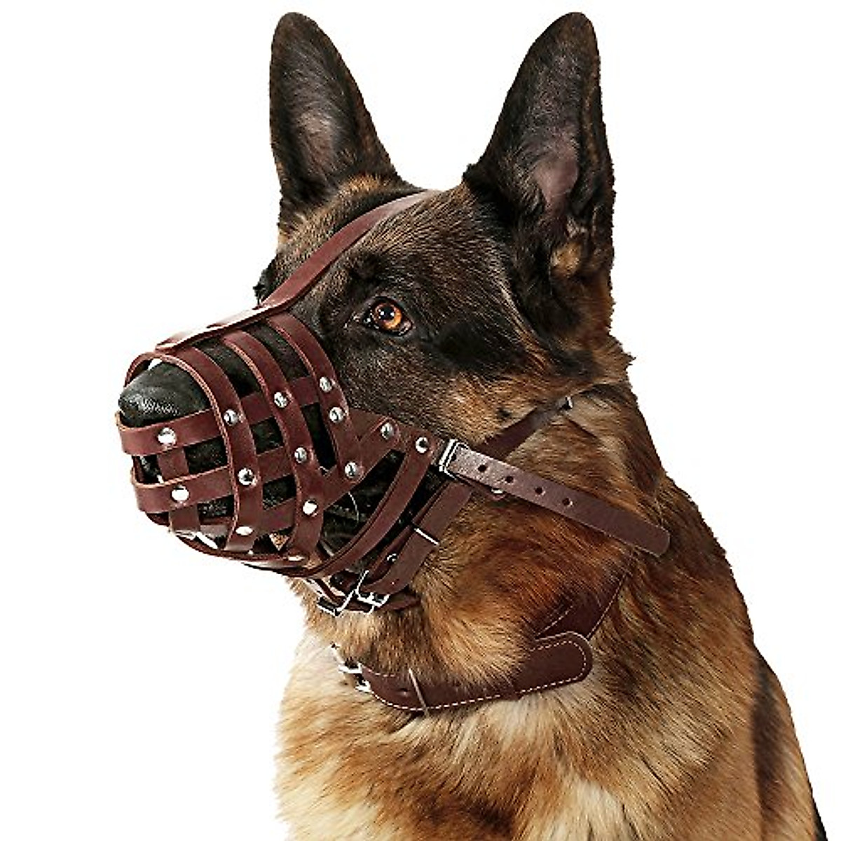 CollarDirect Dog Muzzle German Shepherd Dalmatian Doberman Setter Leather Basket Medium Large Breeds Black Brown (L, Black)